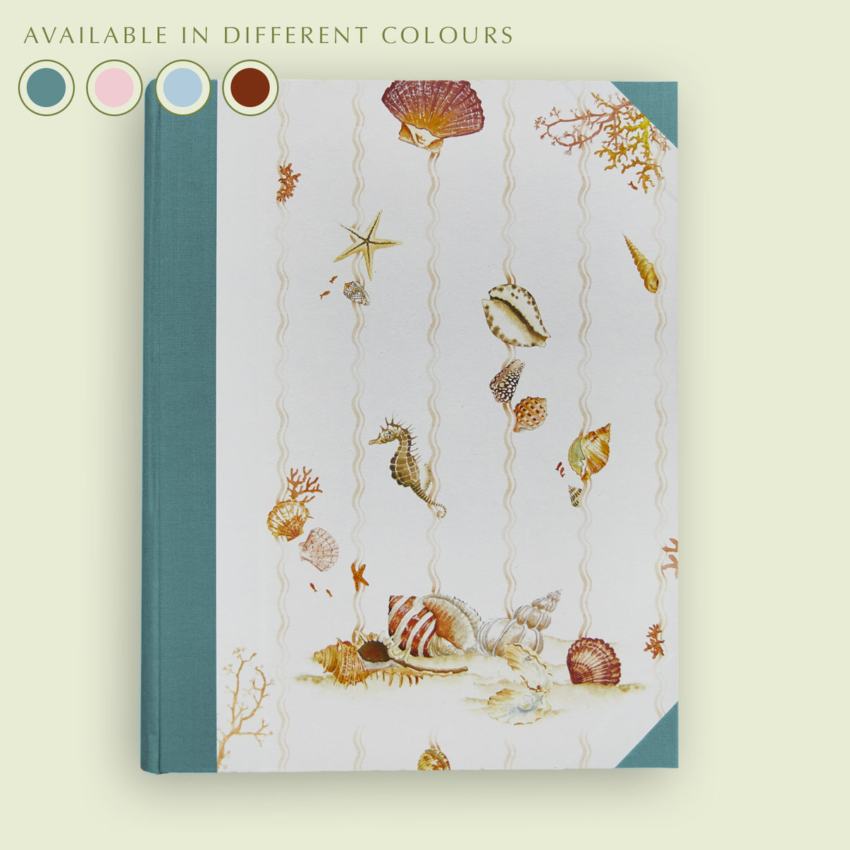 Shells on Shells Photo Album – Clementina Sketchbook