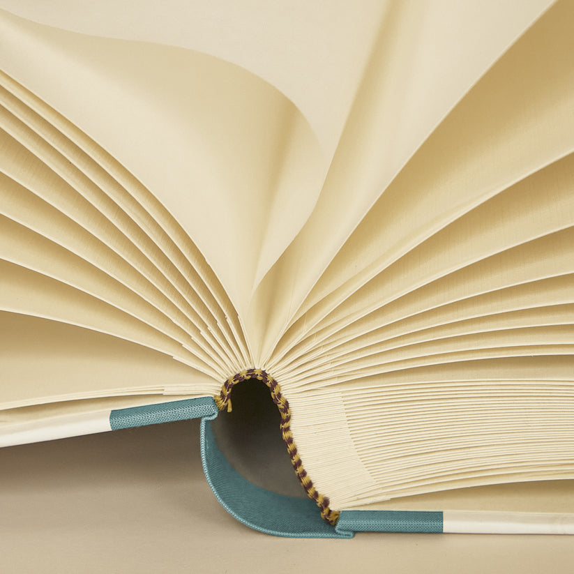 Shells on Shells Photo Album – Clementina Sketchbook