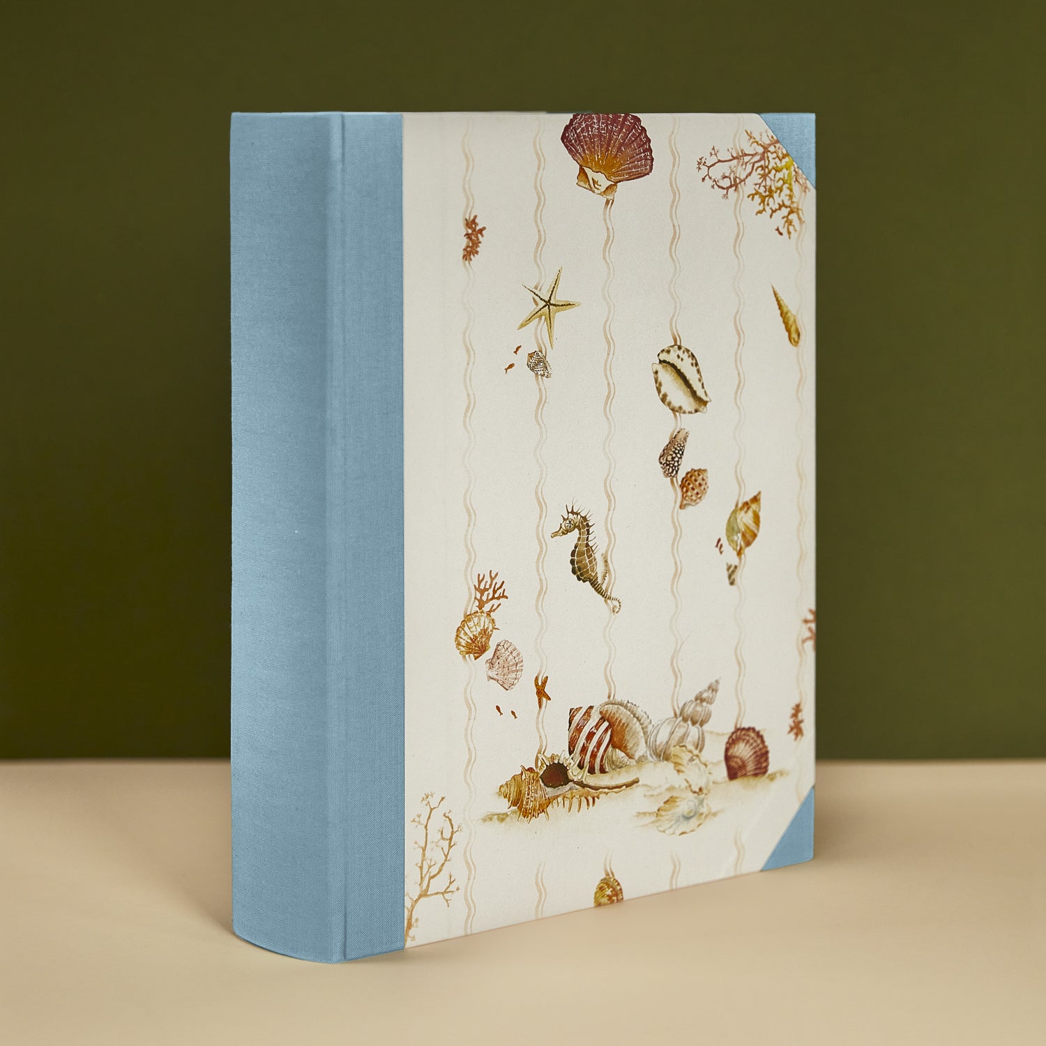 Shells on Shells Photo Album – Clementina Sketchbook